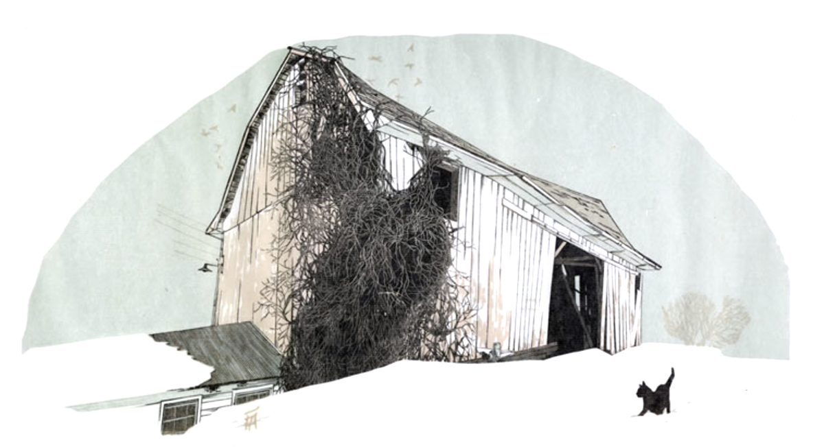 Old Swayback - Jim Heynen